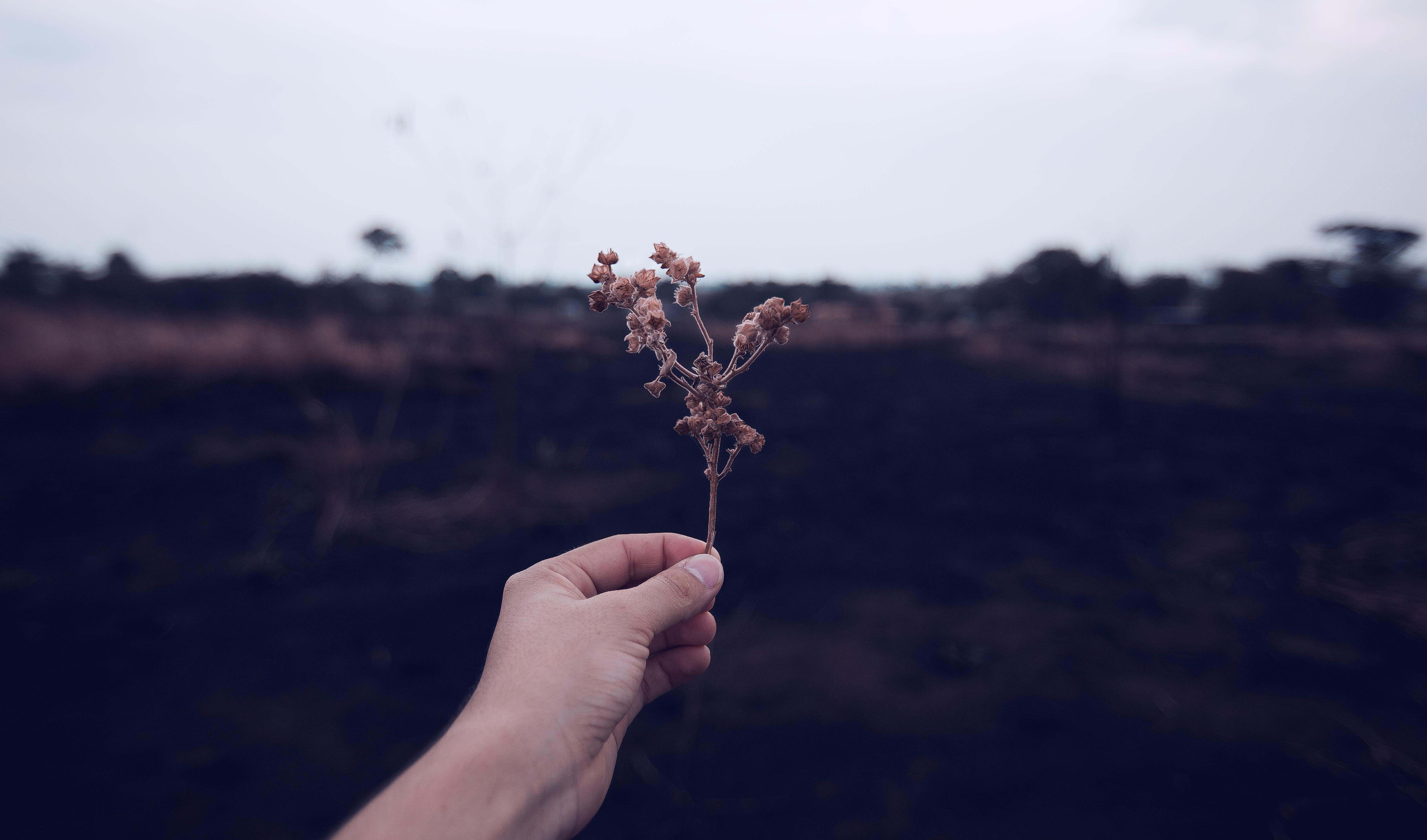 Building creative resilience: five pillars for success